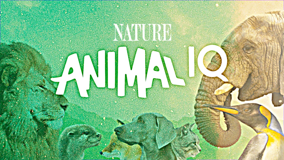 Animal IQ - Apple TV