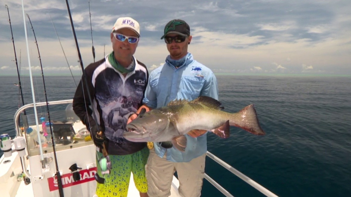 IFISH | Apple TV (AU)