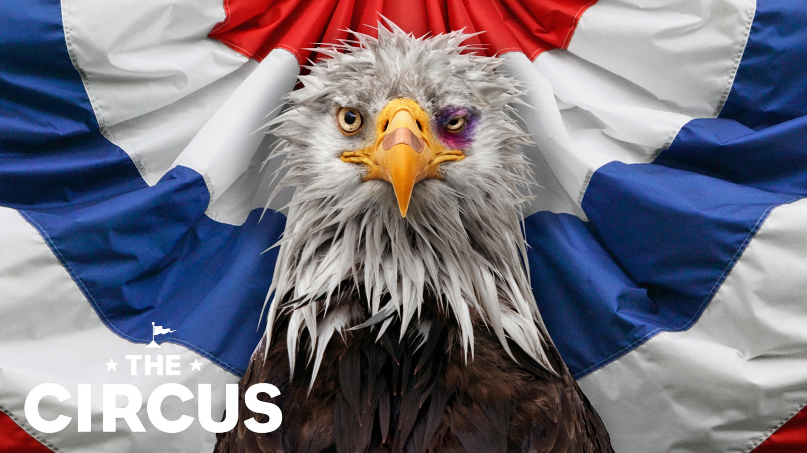 The Circus: Inside the Craziest Political Campaign on Earth on Apple TV