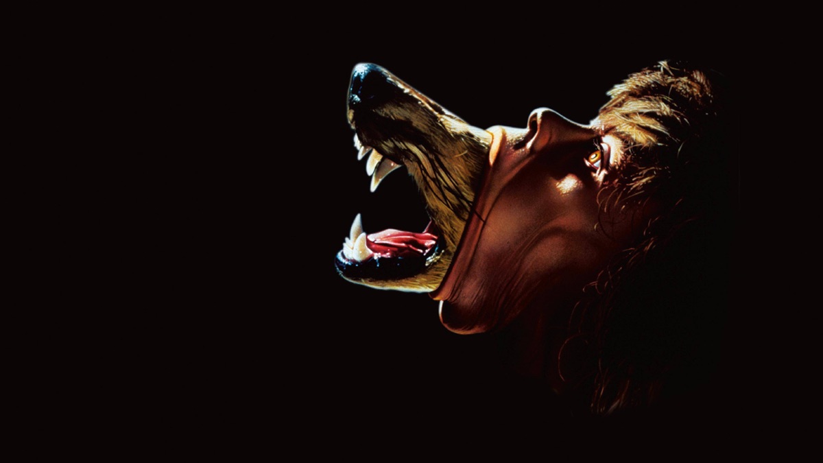 The Company of Wolves | Apple TV (FR)