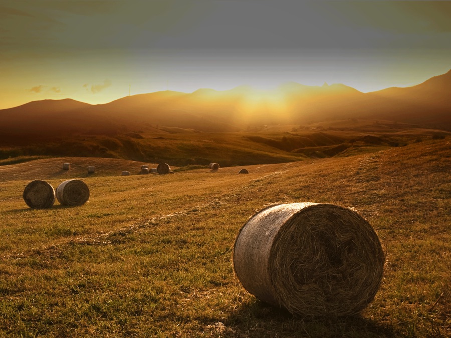 Absolution - Apple TV