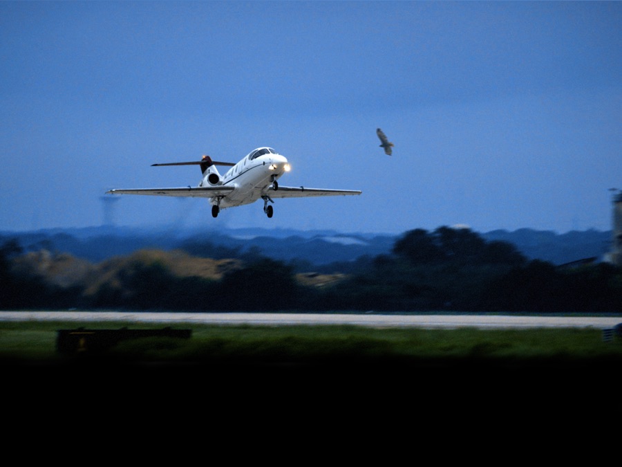 Aves contra Aviones: Milagro en el Hudson - Apple TV