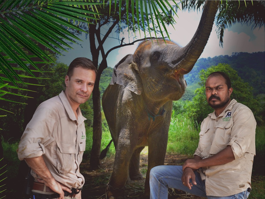 Jungle Animal Rescue | Apple TV