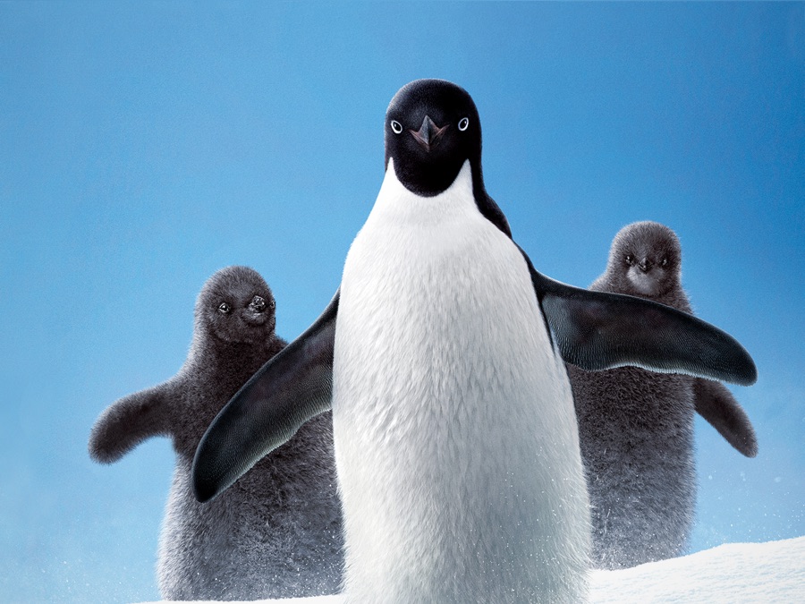 Penguins | Apple TV (AU)