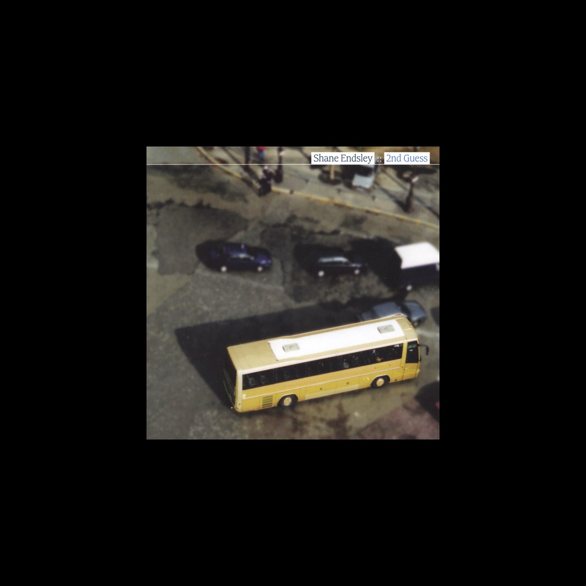 ‎2nd Guess by Shane Endsley on Apple Music