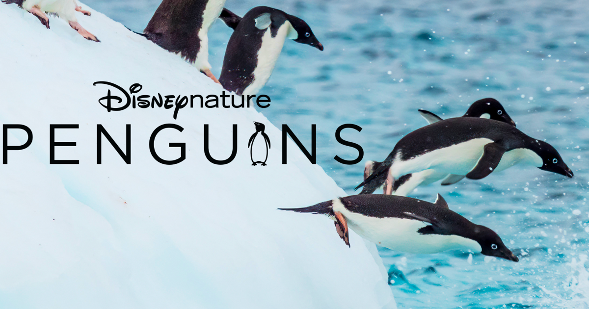 ‎Disneynature Penguins on Apple Music