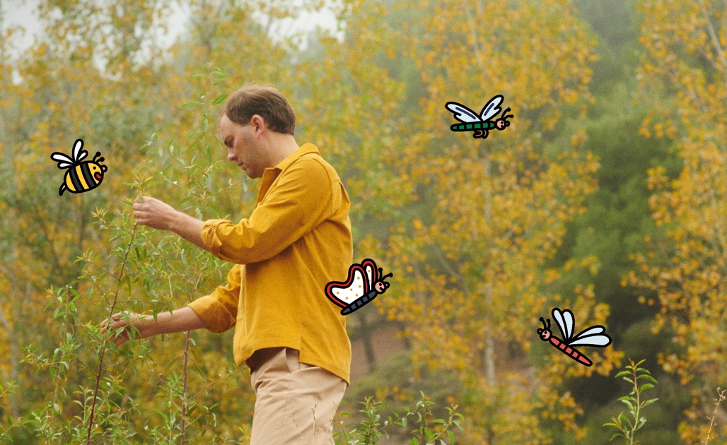 ‎Search the Web, Plant a Tree : App Store Story