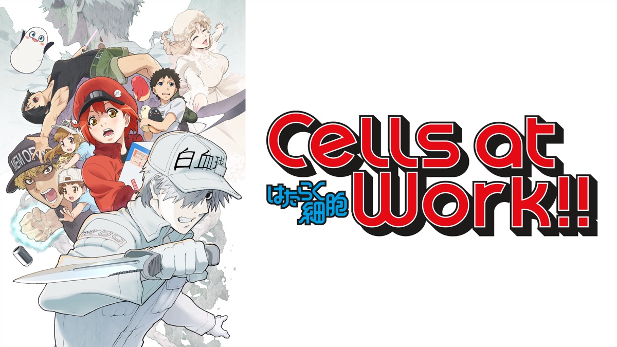 Cells at Work! | Apple TV