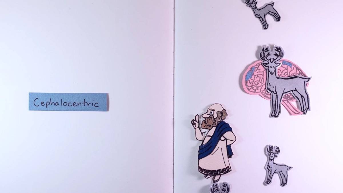 BrainCraft | Apple TV