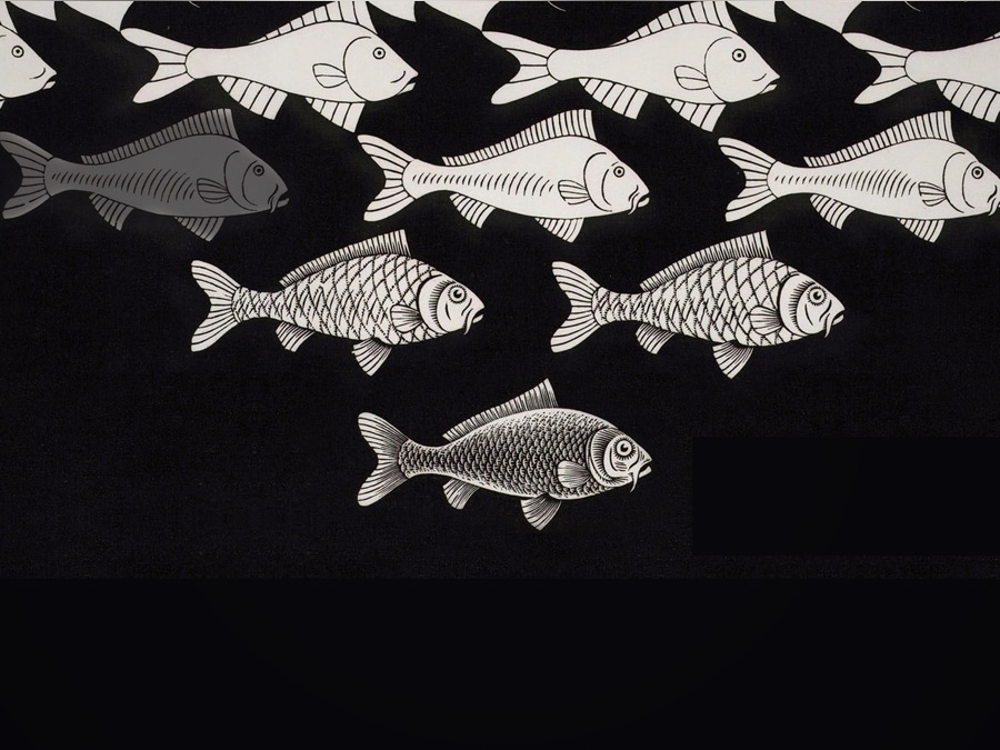 M. C. Escher: Journey to Infinity | Apple TV