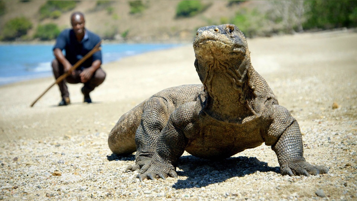 Big Beasts: Last of the Giants | Apple TV (UK)