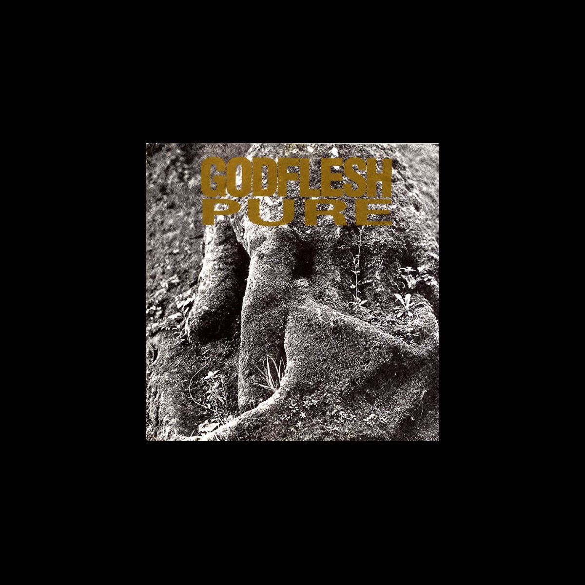 ‎Pure by Godflesh on Apple Music