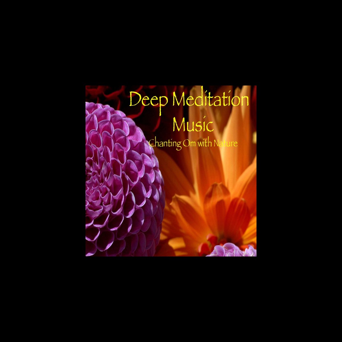 ‎Deep Meditation Music Chanting Om With Nature by JTJ Records Inc. on ...