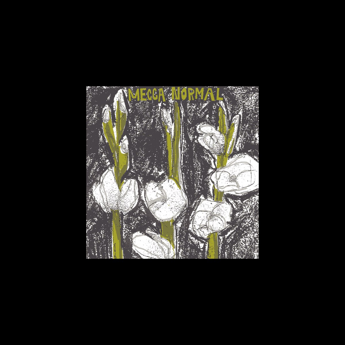 ‎Mecca Normal (The First Album) by Mecca Normal on Apple Music