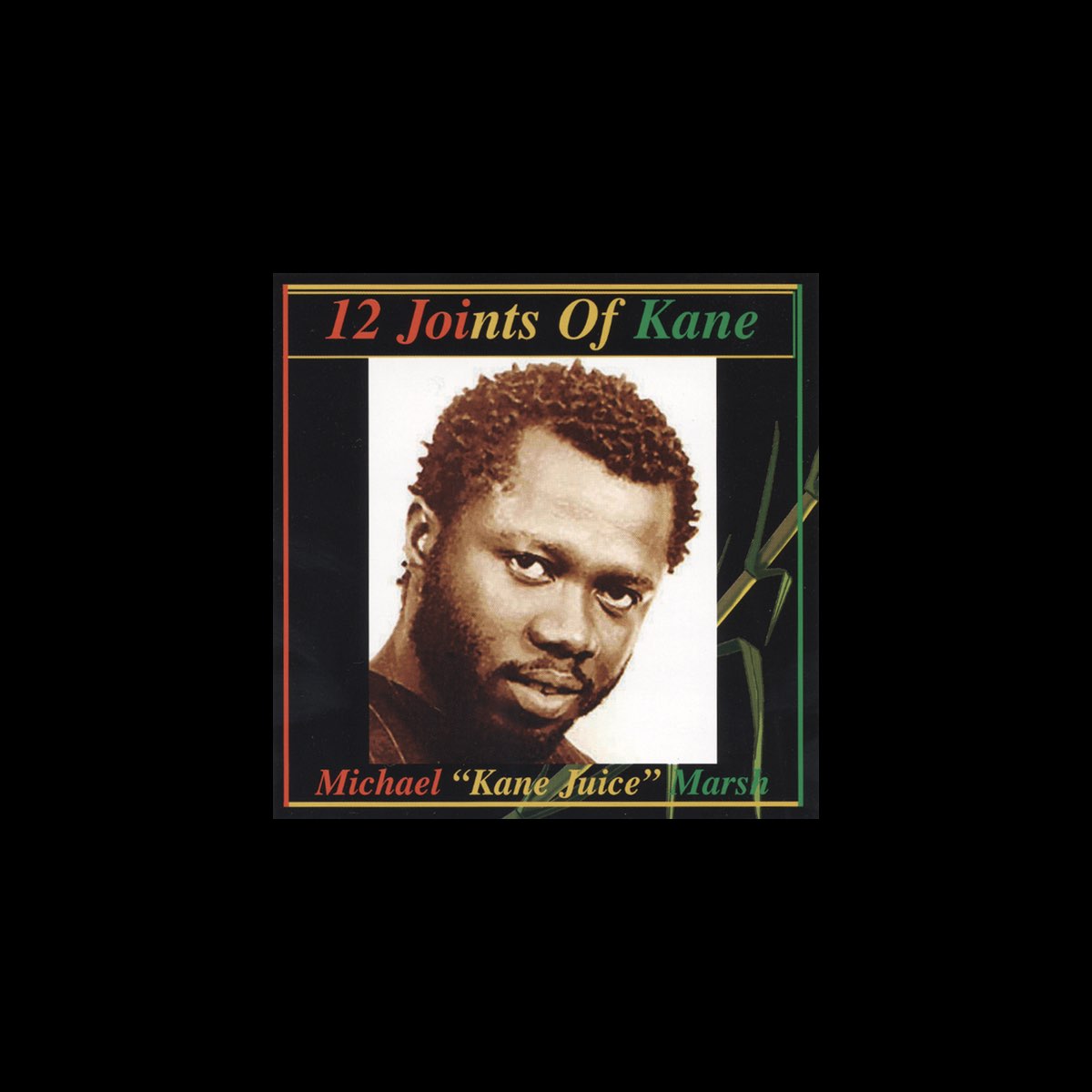 ‎12 Joints of Kane by Michael Kane Juice Marsh on Apple Music