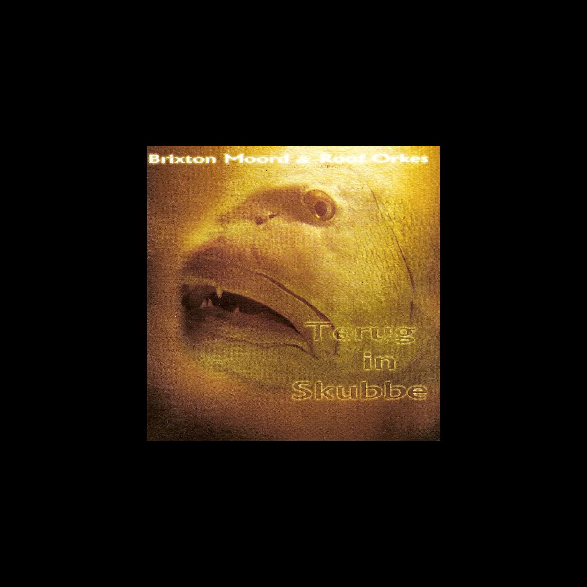 ‎Brixton Moord en Roof Orkes在 Apple Music 上的《Terug In Skubbe》
