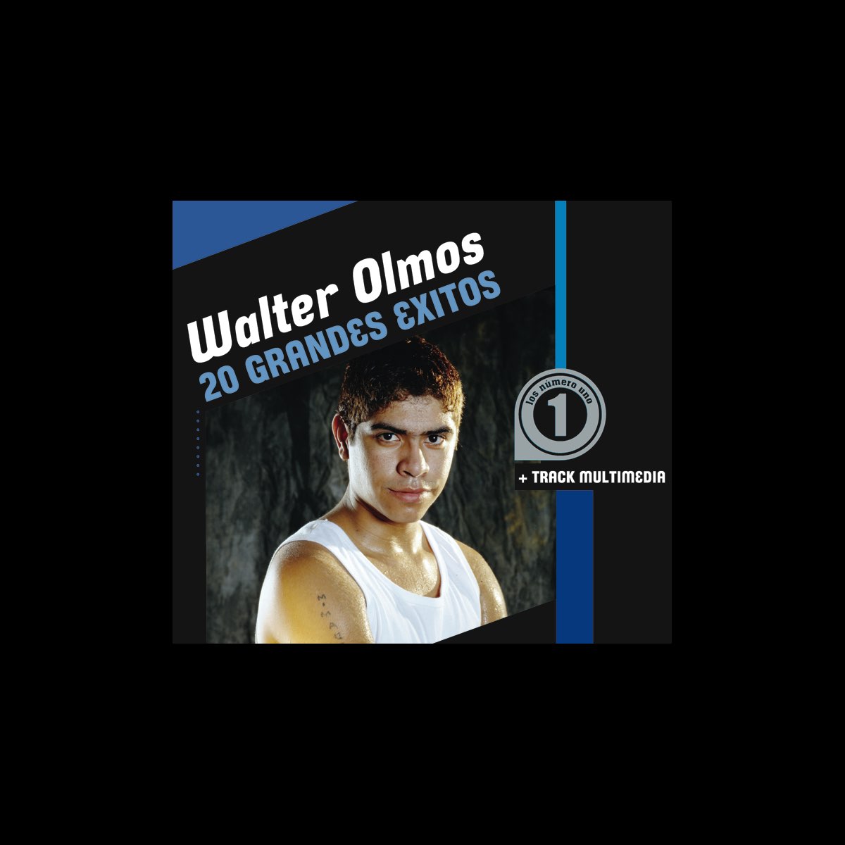 ‎Walter Olmos: 20 Grandes Éxitos by Walter Olmos on Apple Music