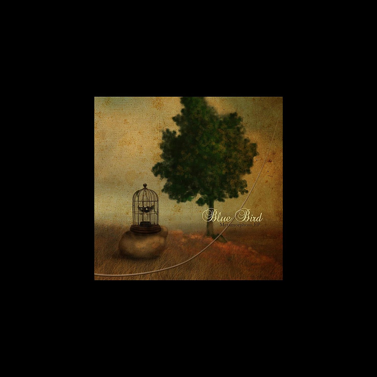 ‎Metamorphosis - EP by Blue Bird on Apple Music