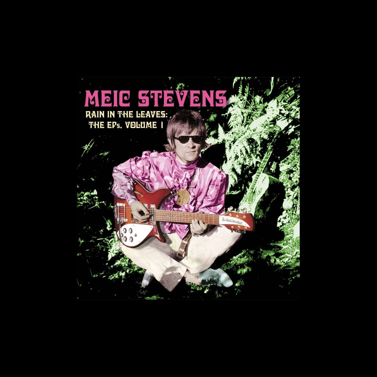 ‎Rain In The Leaves: The EPs, Volume 1 de Meic Stevens en Apple Music