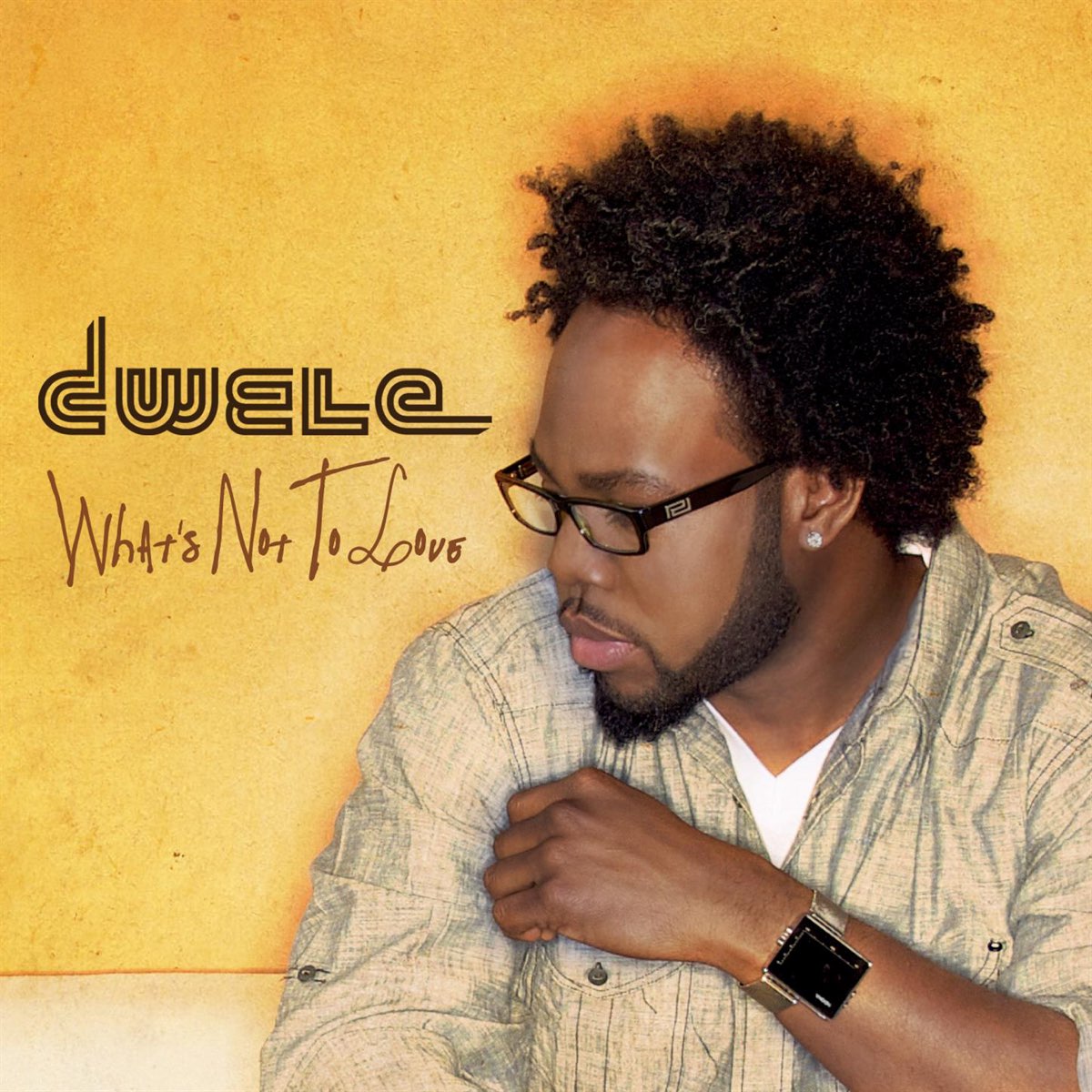 ‎What's Not to Love - Single by Dwele on Apple Music