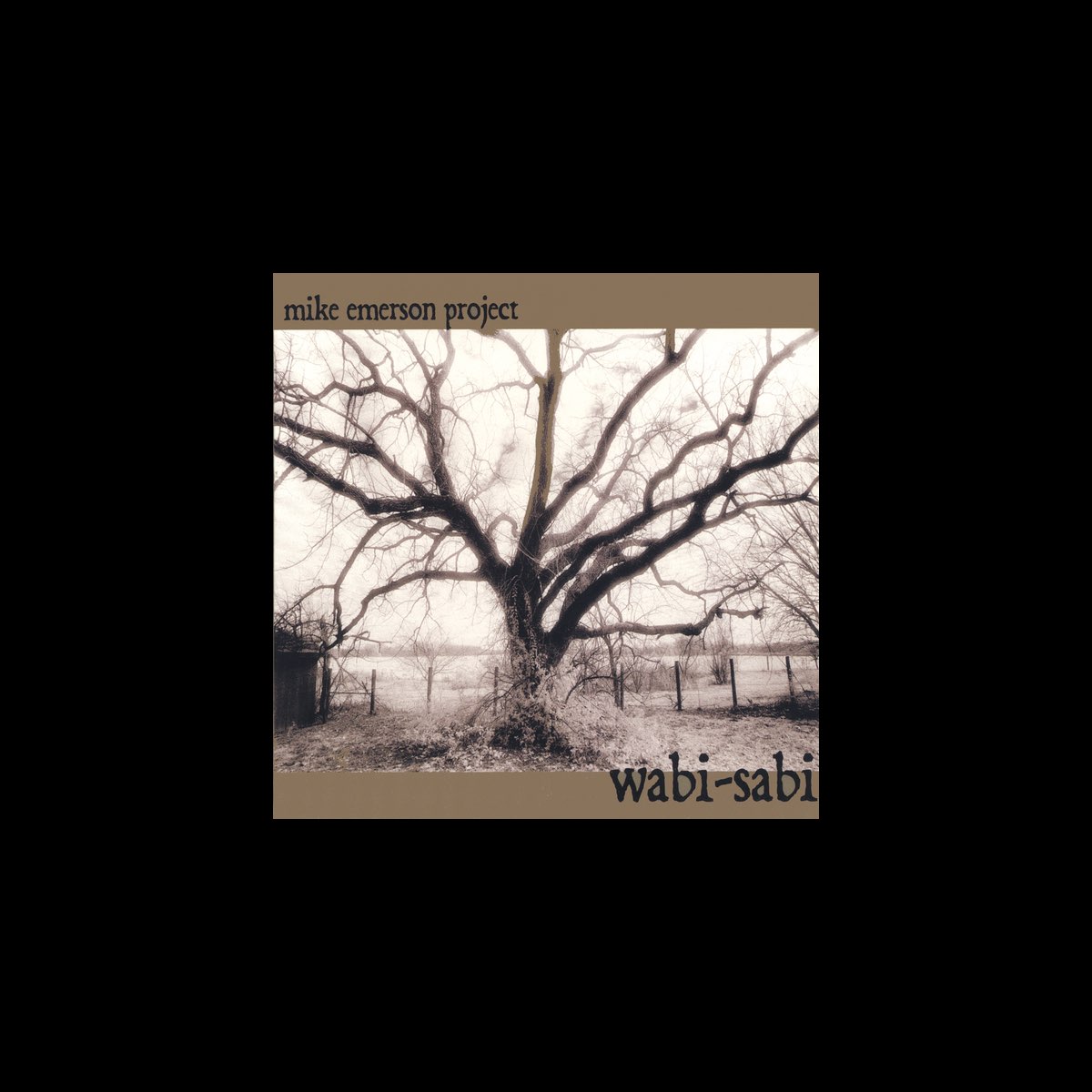 ‎Альбом «wabi-sabi» (Mike Emerson Project) в Apple Music