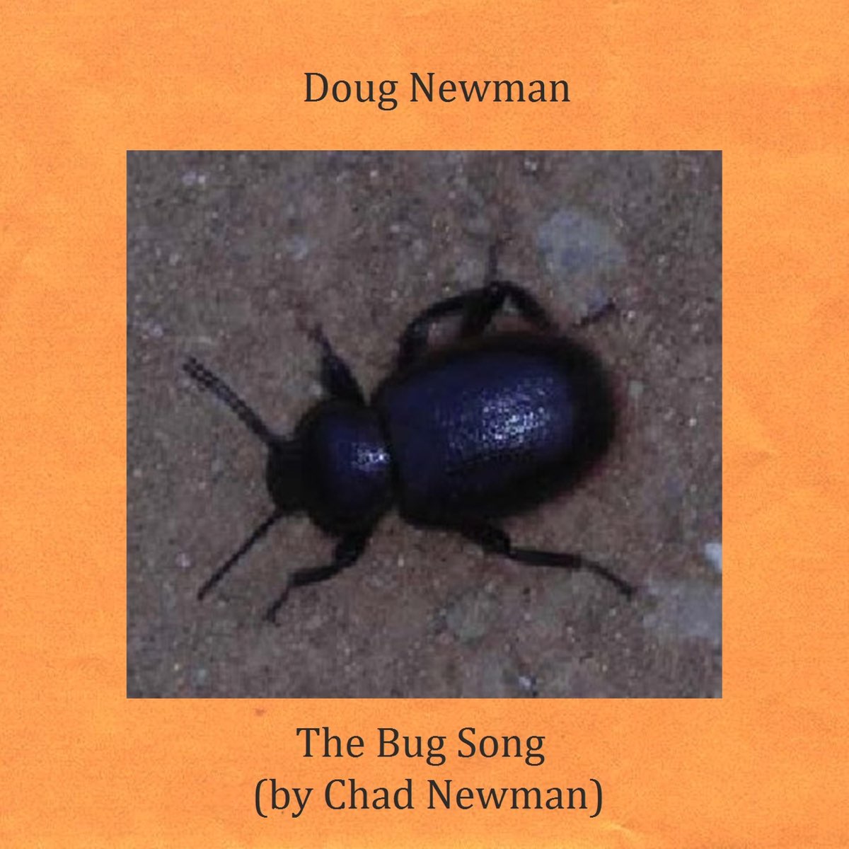 ‎The Bug Song (by Chad Newman) performed by Doug Newman - from "Bugs ...
