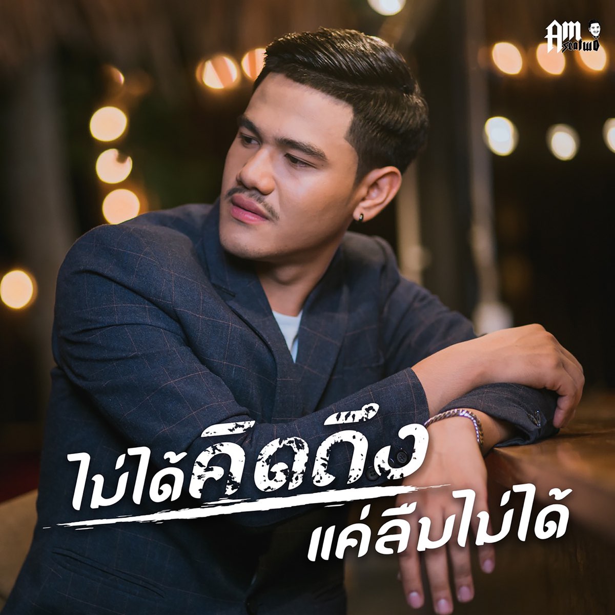 ‎ไม่ได้คิดถึง แค่ลืมไม่ได้ - Single by Am Seatwo on Apple Music