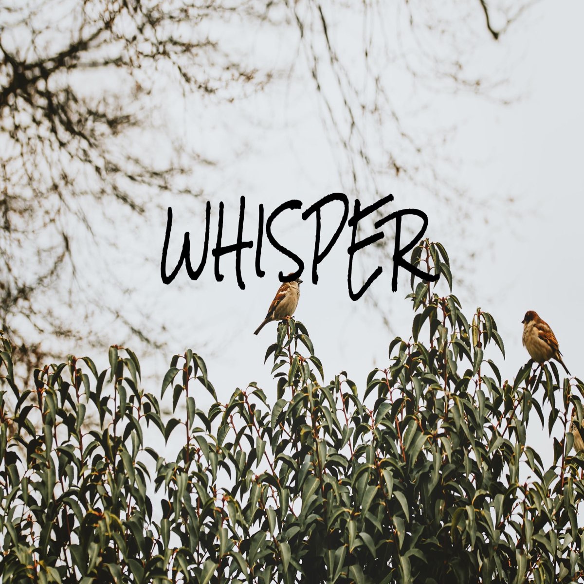 ‎Whisper (Remix) - Single by Brian Dalton on Apple Music