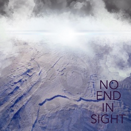 No End in Sight by The Survivalists