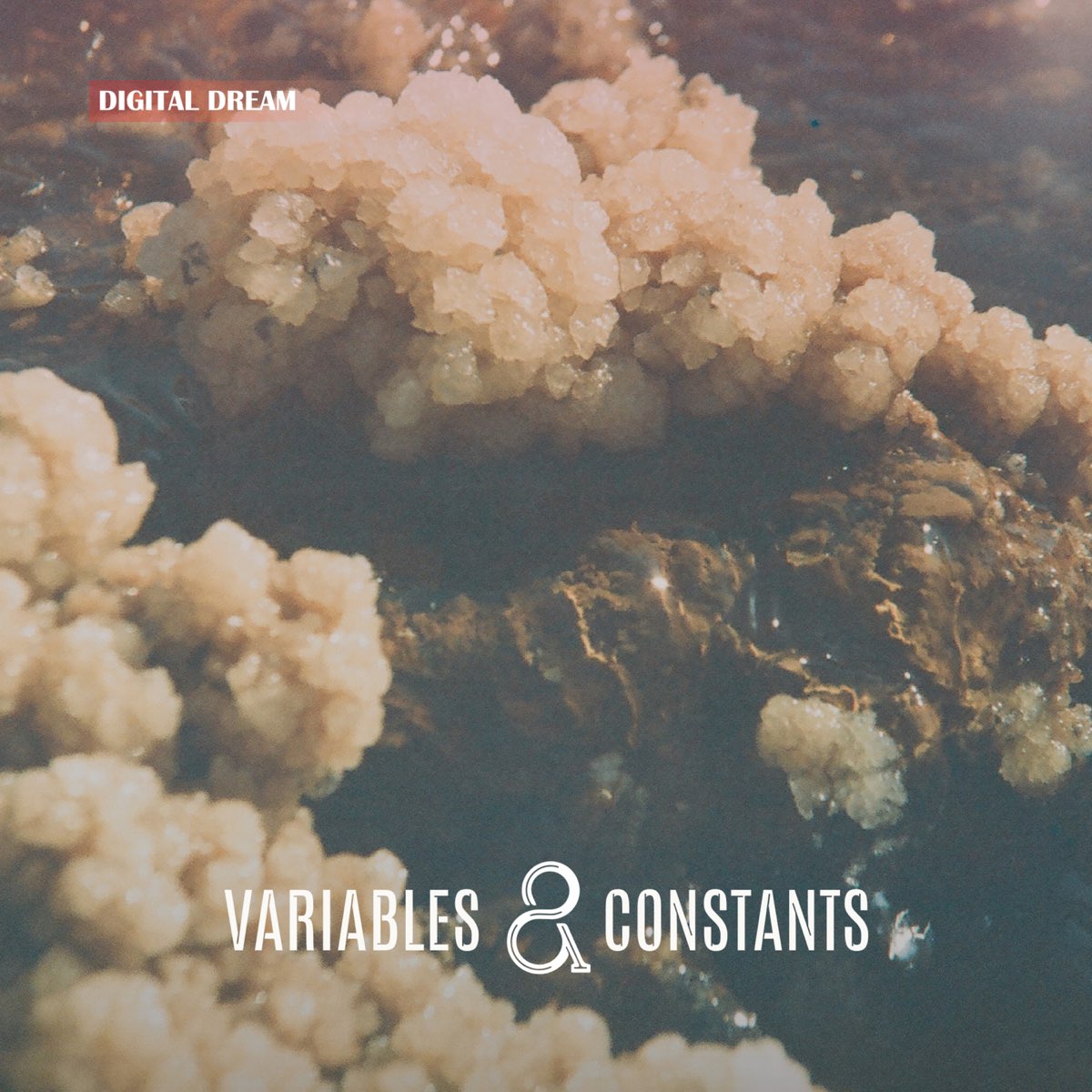 Variables and Constants by Digital Dream on Apple Music Variables and Constants by Digital Dream on Apple Music