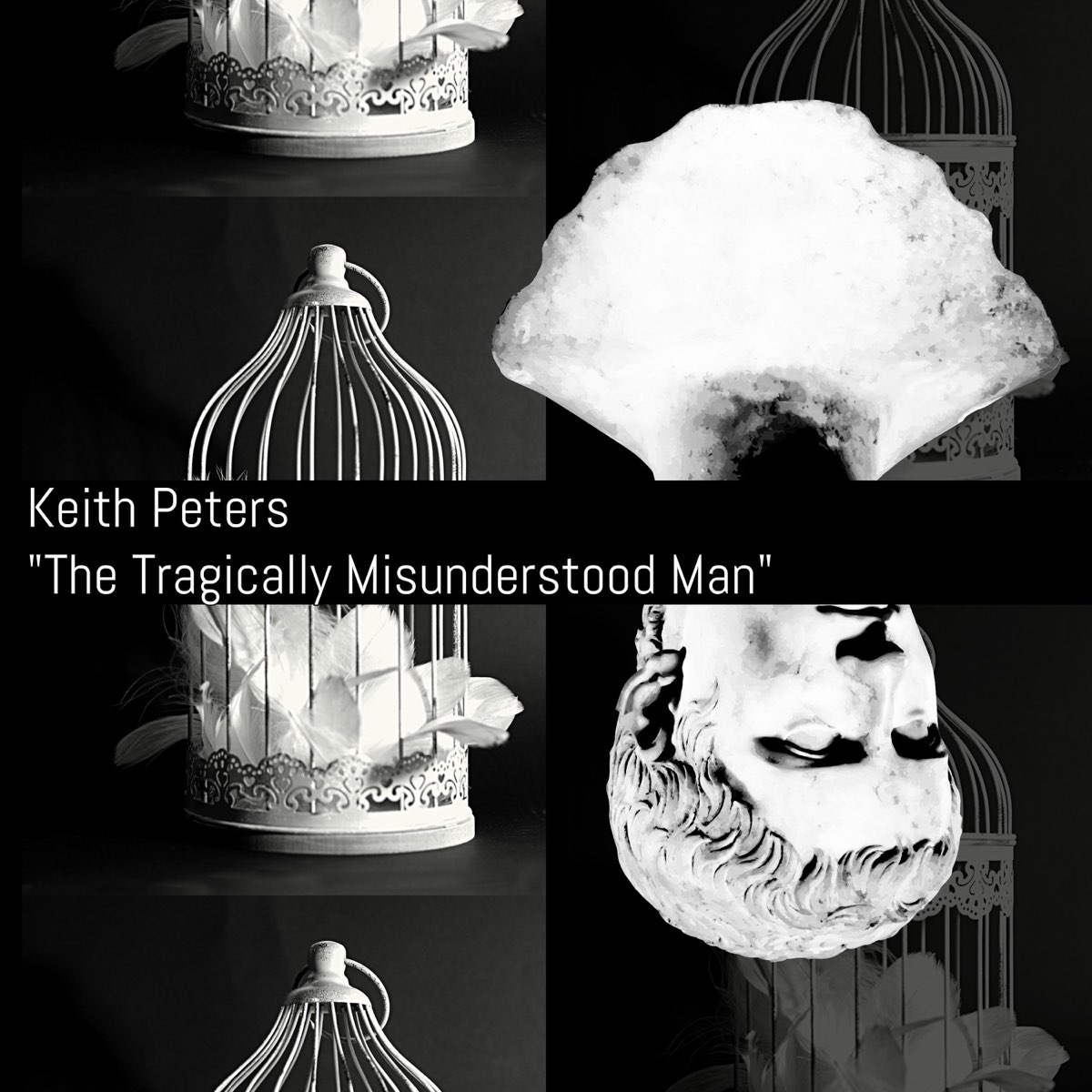 ‎The Tragically Misunderstood Man, or How to Hide Your Head in the Sand ...