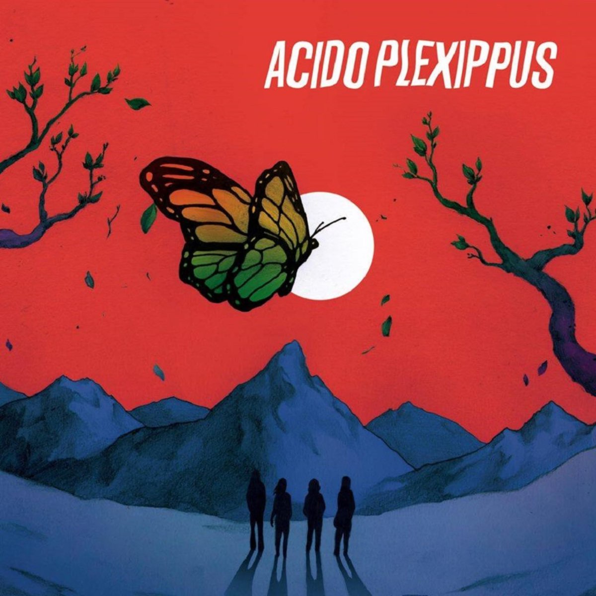 ‎Acido Plexippus by Acido Plexippus on Apple Music