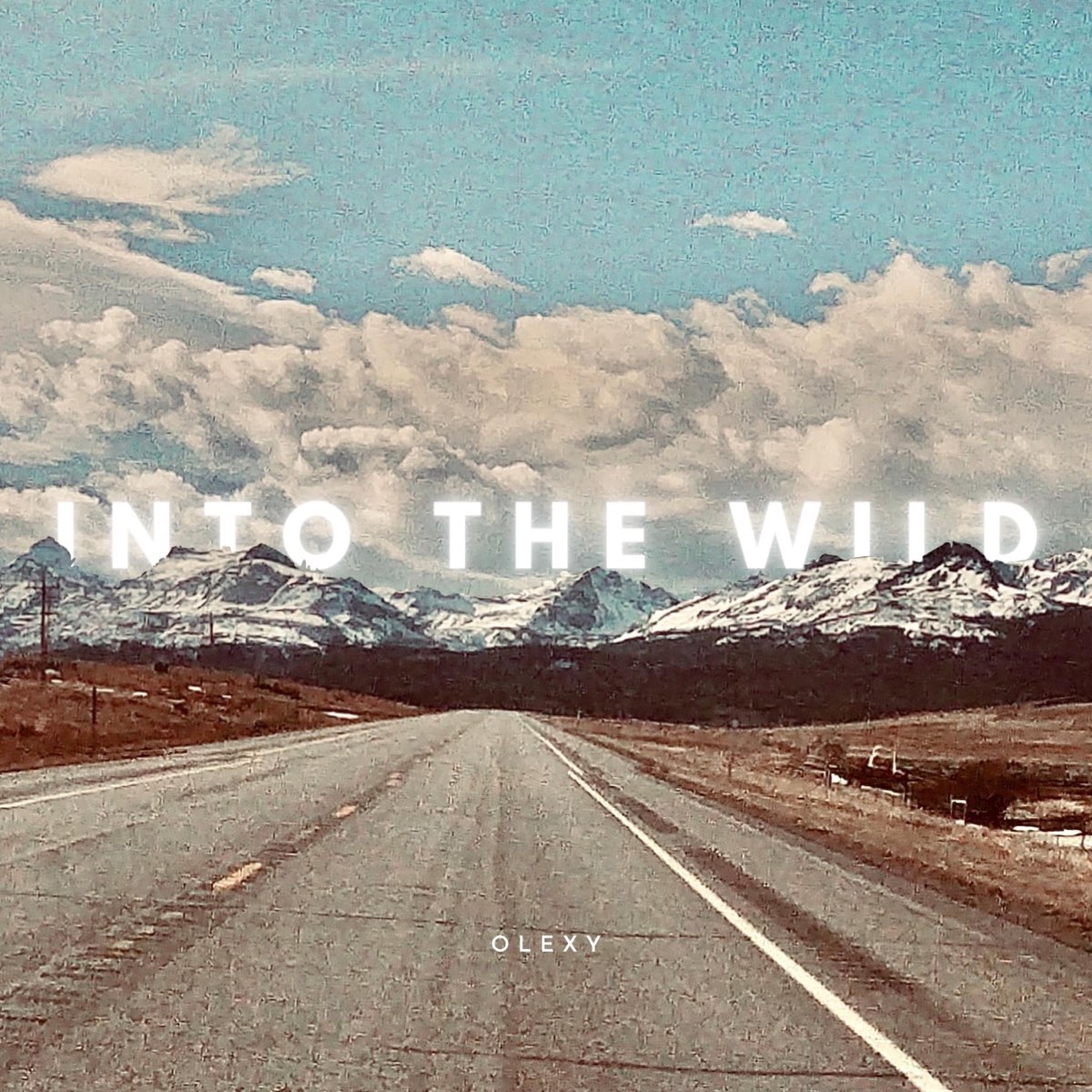 ‎Into the Wild - Single by Lesfm & Olexy on Apple Music