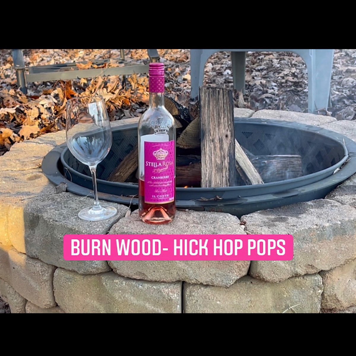 ‎Burn Wood - Single by Hick Hop Pops on Apple Music