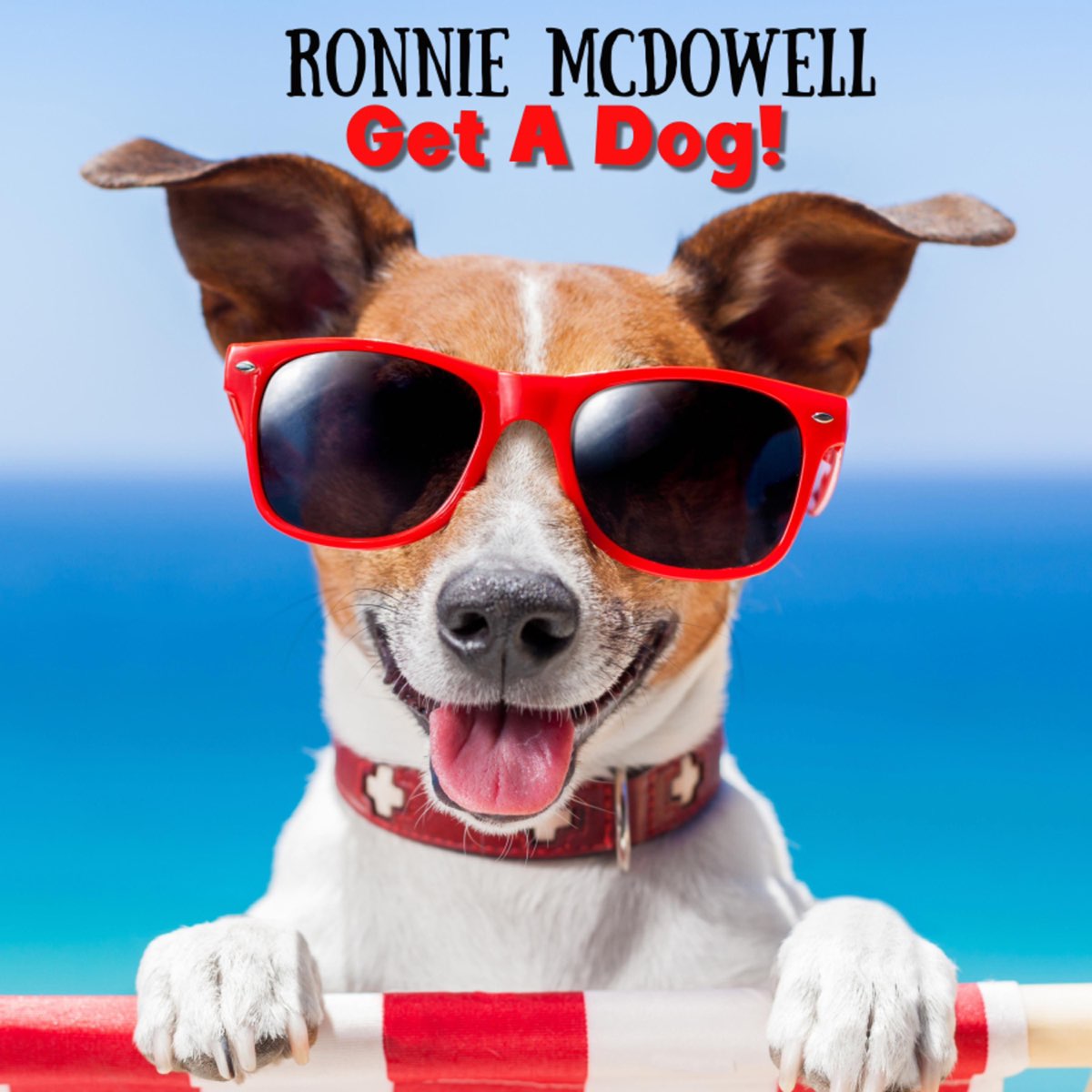 ‎Get a Dog - Single by Ronnie McDowell on Apple Music