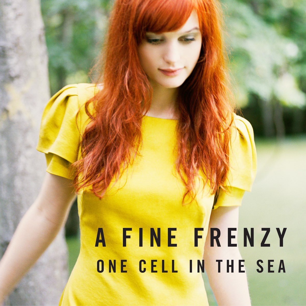 One Cell In The Sea By A Fine Frenzy On Apple Music one-cell-in-the-sea-by-a-fine-frenzy-on-apple-music