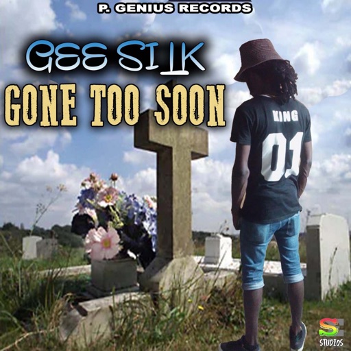Gone Too Soon by Gee Silk