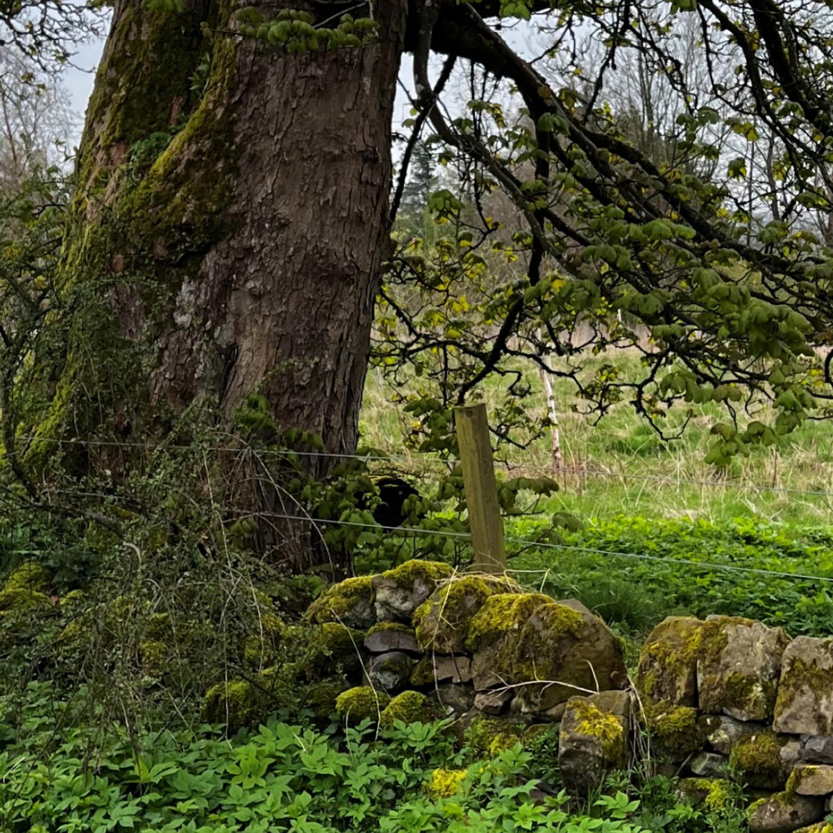 ‎How I Feel - EP by shimbo on Apple Music