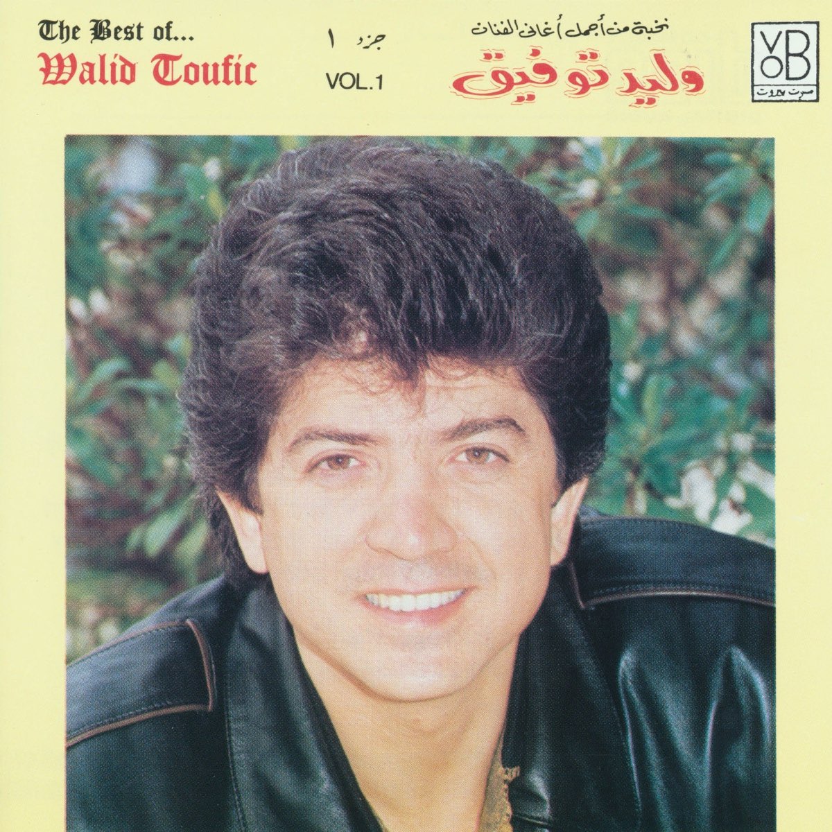 ‎Best of Walid Toufic, Vol. 1 by Walid Toufic on Apple Music