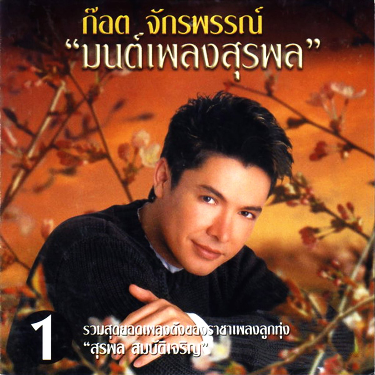 ‎ก๊อต จักรพรรณ์ "มนต์เพลงสุรพล" 1 by Got Jakraphan on Apple Music