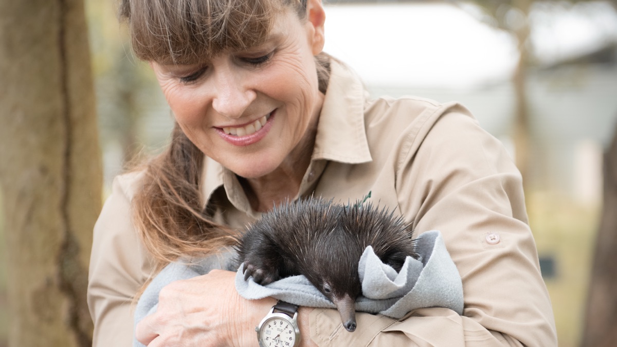 The Puggle Struggle – Crikey! It's the Irwins (Season 4, Episode 4 ...