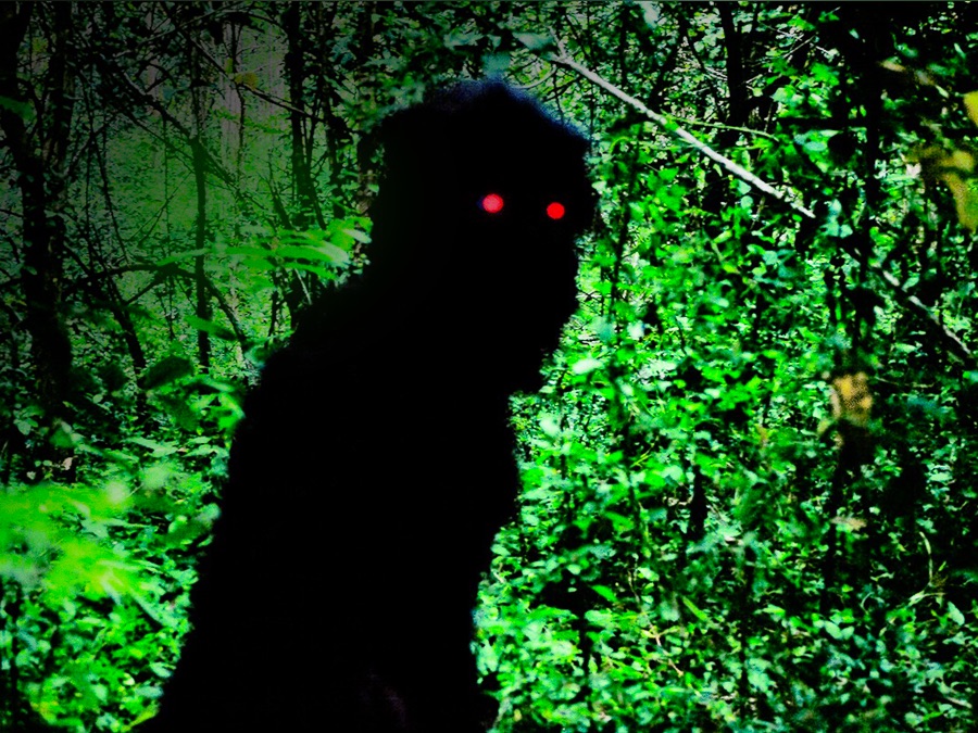 Uncle Boonmee Who Can Recall His Past Lives | Apple TV