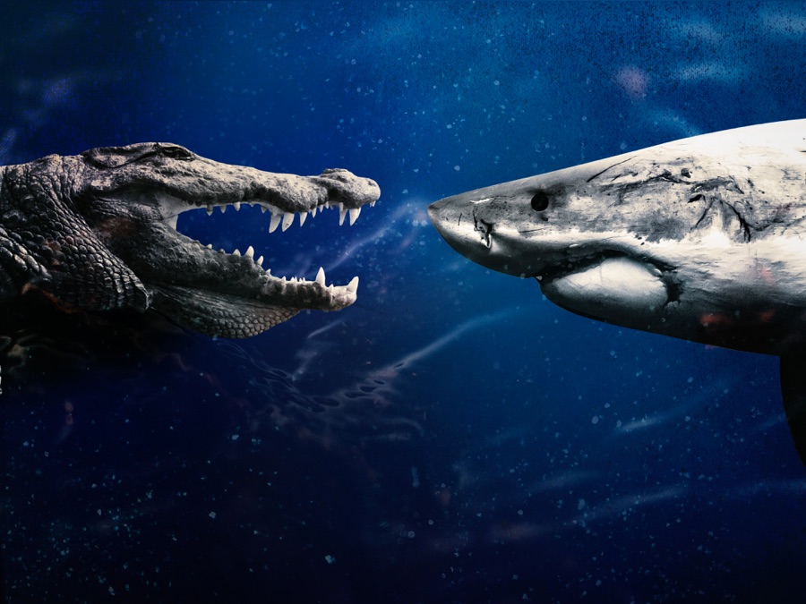 When Shark Meets Croc - Apple TV