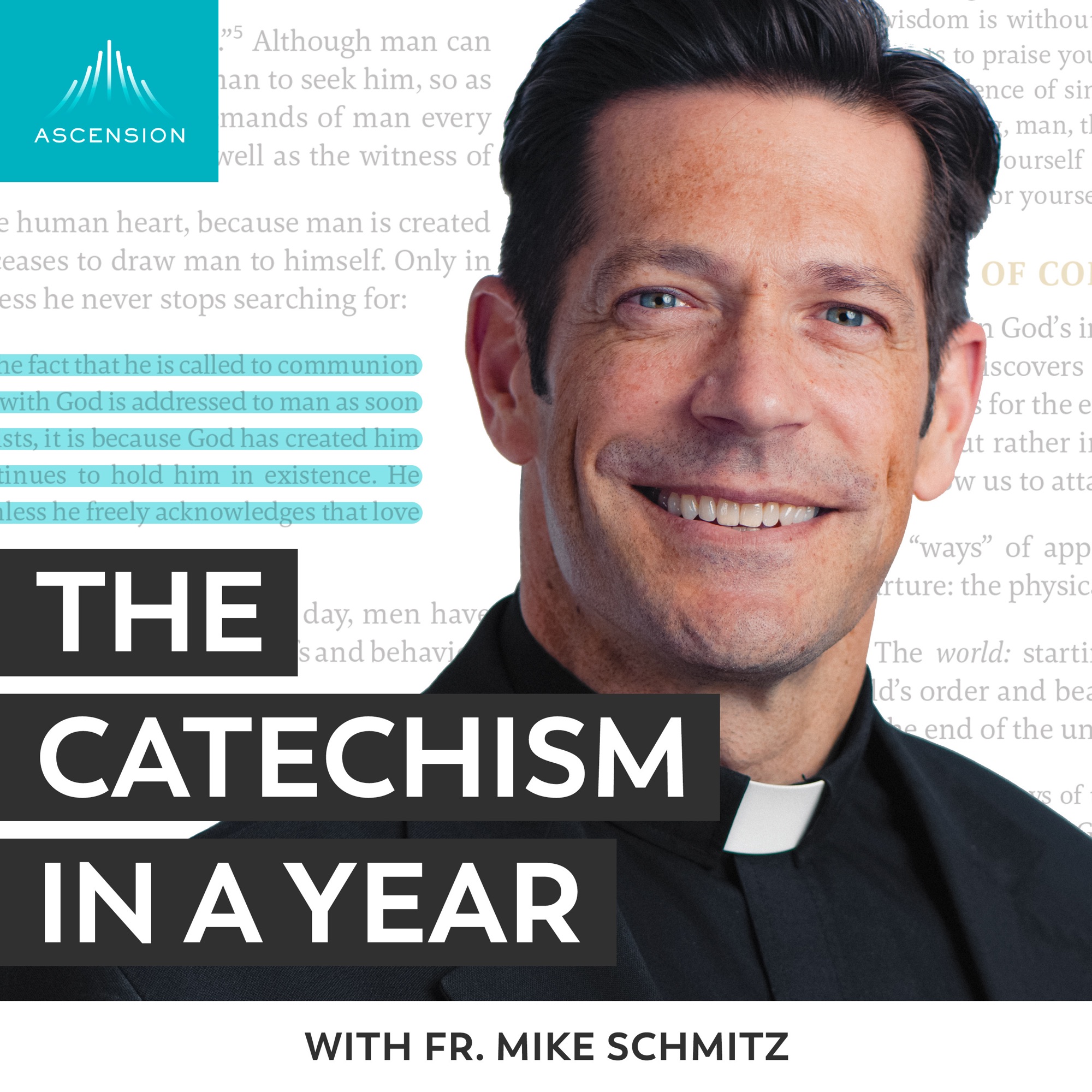 Day 245 Gifts And Fruits Of The Holy Spirit The Catechism In A Year