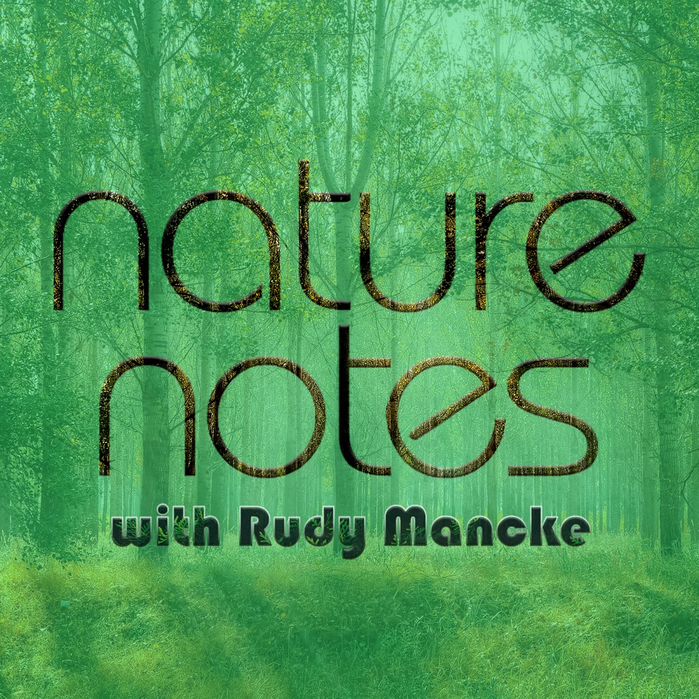 what-is-so-rare-as-a-day-in-june-naturenotes-podcast-podtail