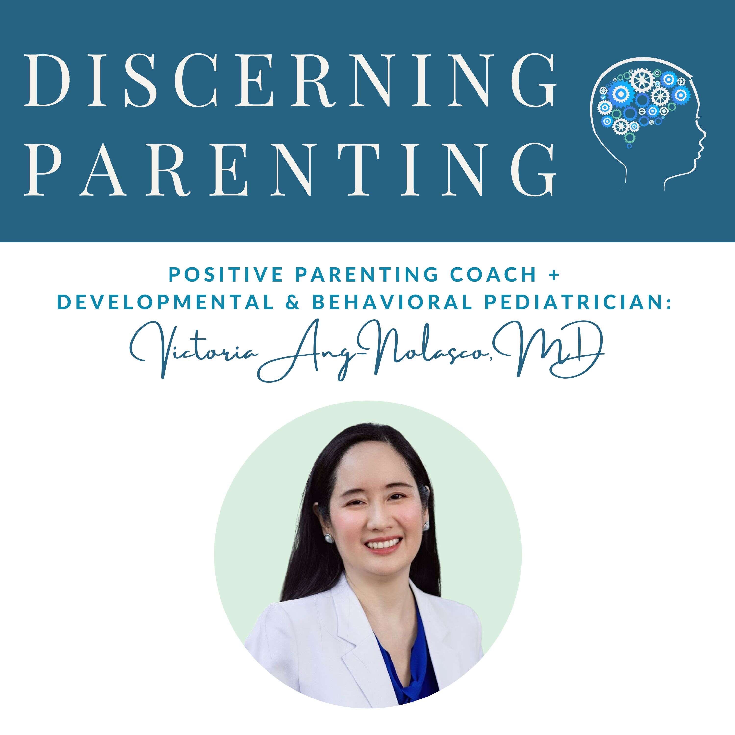 What Should A 2 Year Old Be Learning Discerning Parenting Podcast 