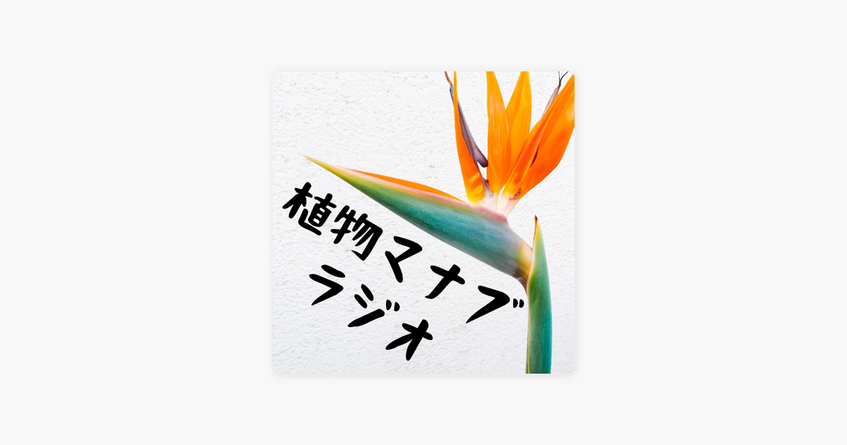 植物マナブラジオ:apple Podcast内の【告知】ポッドキャストウィークエンド!とお便り紹介!【雑談】