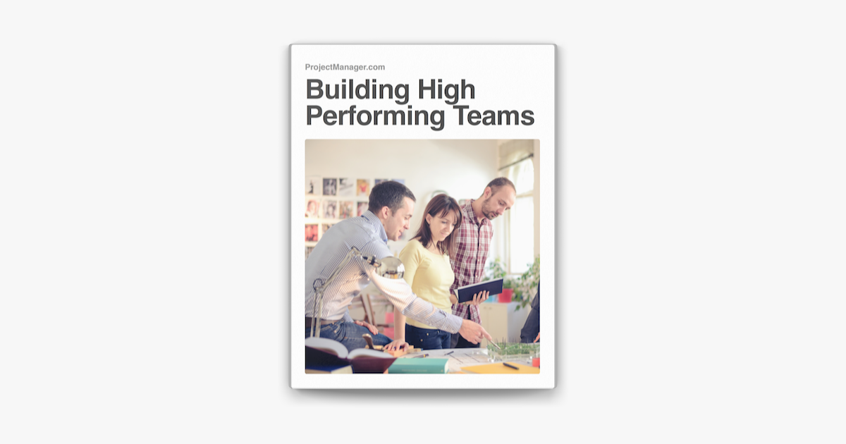 ‎Building High Performing Teams on Apple Books