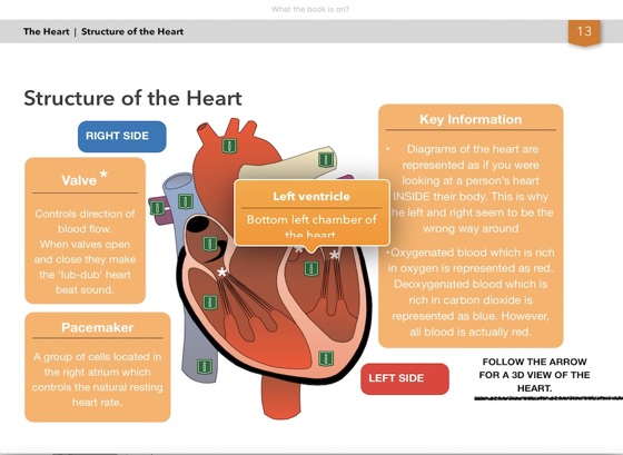 ‎The double circulatory system on Apple Books