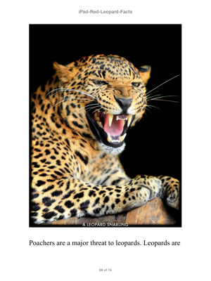 ‎Leopard Facts For Kids 9-12 on Apple Books